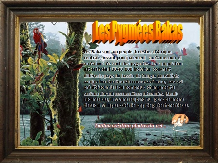 Les pygmées Bakas